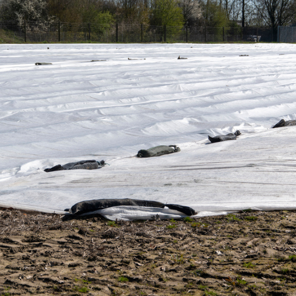 Silage Tarp 6 mil Black/White Plastic Sheeting | Silage Tarp Supply ...